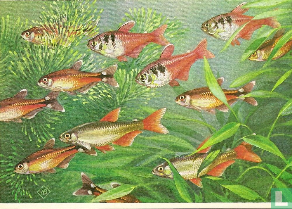 1977-1-5 Koperzalmpjes (1977) - Voor het kind - LastDodo