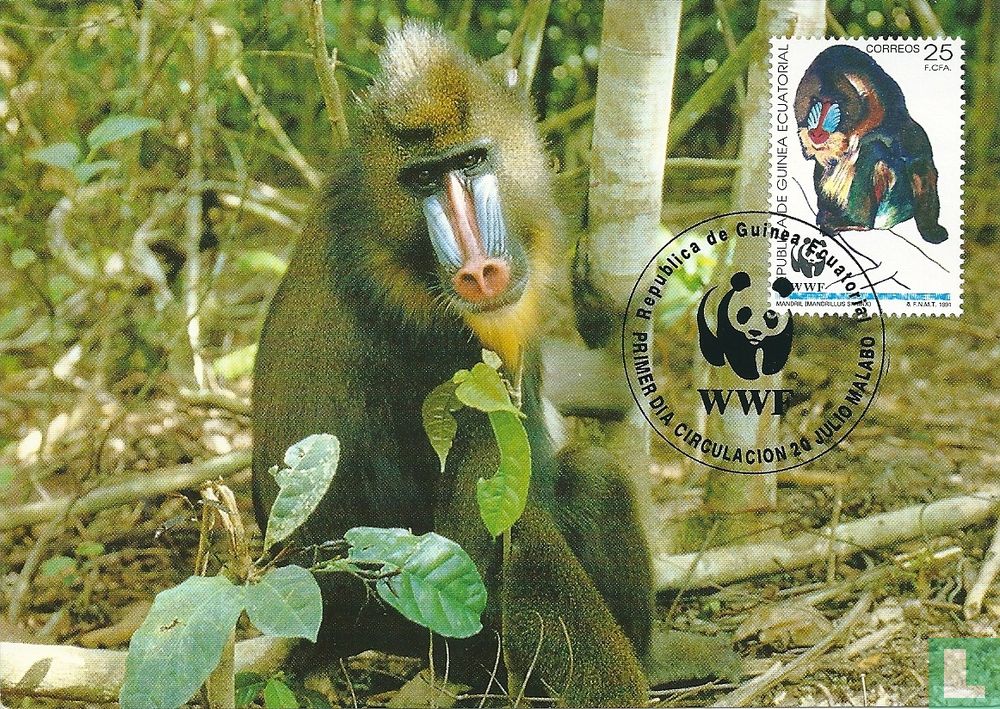 WWF-Mandrill (1991) - Äquatorialguinea - LastDodo