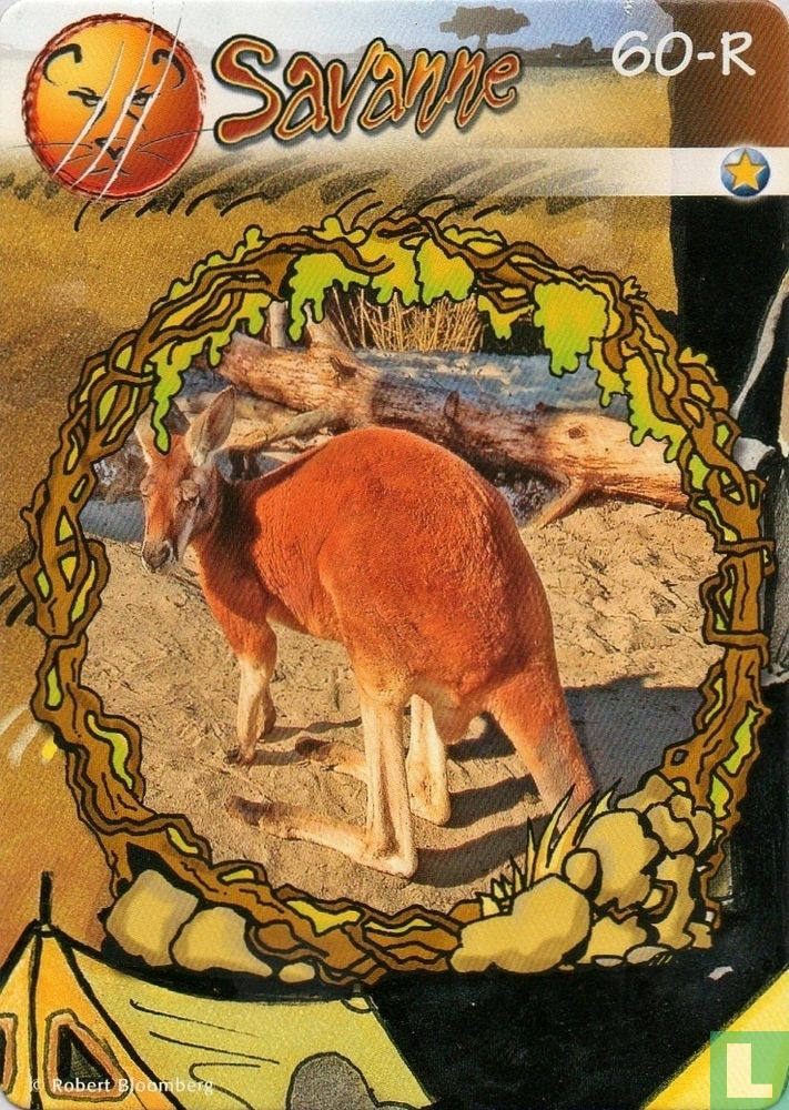 Kangoeroe 60-R (2005) - Jetix 3D Jungle Cards - LastDodo