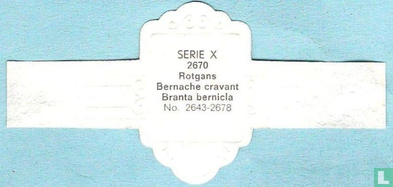 Rotgans (Branta bernicla) 2670 (1967) - Willem II - LastDodo