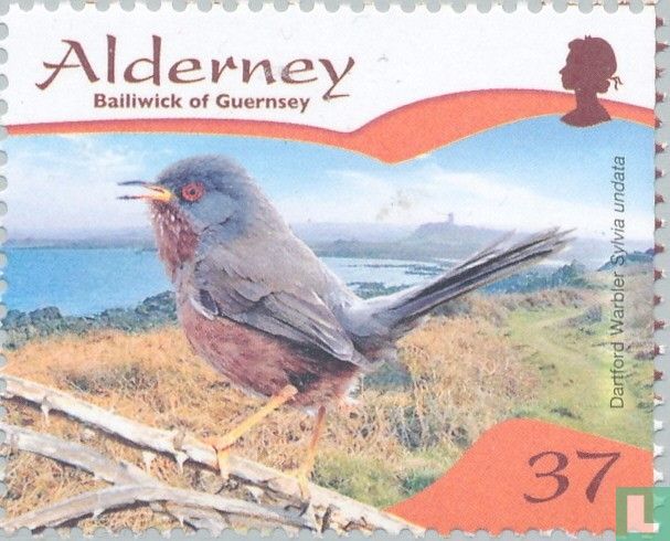 Sedentary birds 37 (2007) - Alderney [Guernsey] - LastDodo