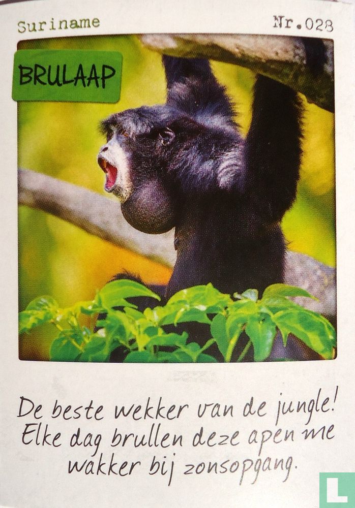 Suriname - Brulaap 028b (2015) - Albert Heijn - LastDodo