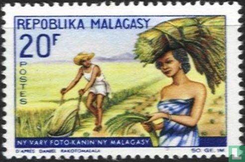 Récolte de riz 20 (1967) - Madagascar - LastDodo