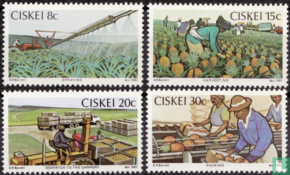 Ananasteelt (1982) - Ciskei - LastDodo