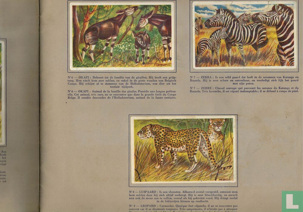 De Fauna van onze Congo / La Faune de notre Congo (1950) - Fabrique de ...