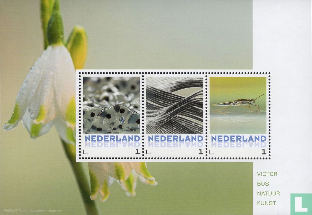 Natuurkunst - Kikkerdril (2016) - Nederland - LastDodo