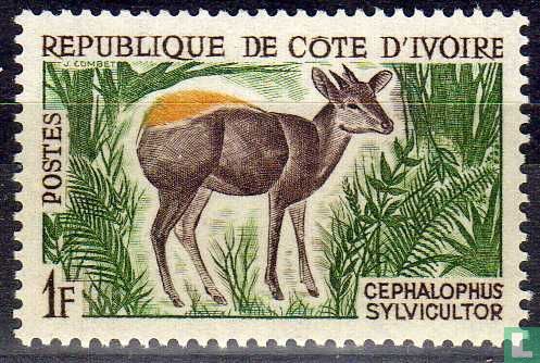 Céphalophe à dos jaune 1 (1964) - Côte d'Ivoire - LastDodo