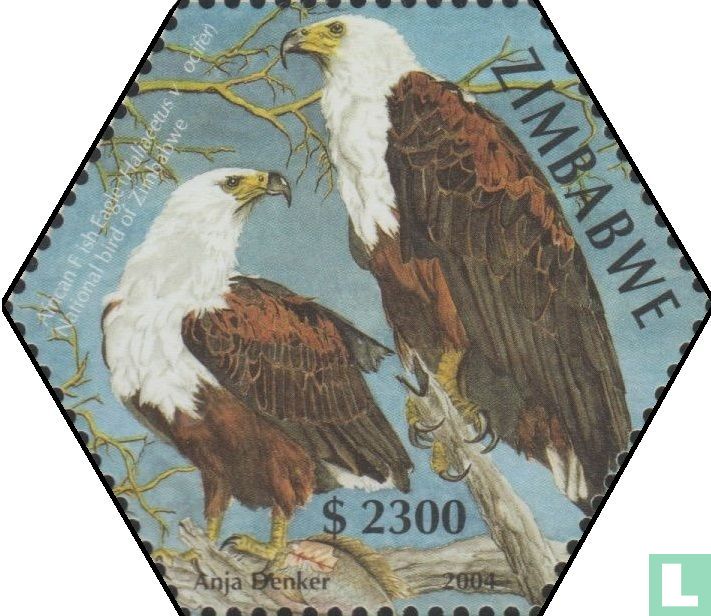 African bald eagle 2300 (2004) - Zimbabwe - LastDodo