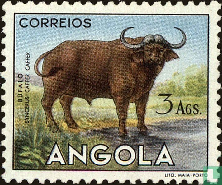 Buffle du Afrique 3 (1953) - Angola - LastDodo