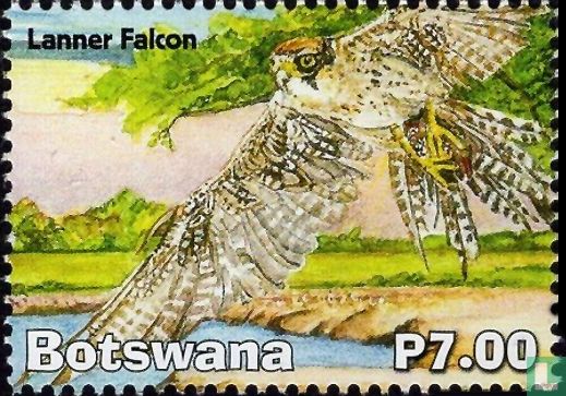 Lanner Falcon 7.00 (2019) - Botswana - LastDodo