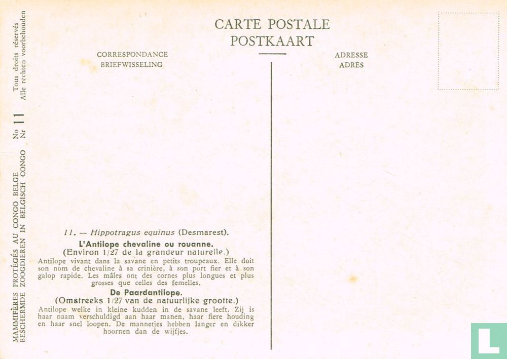 De Paardantilope / L'Antilope chevaline ou rouanne 11 - Koninklijk ...