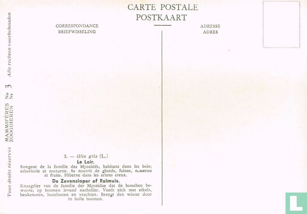 De Zevenslaper of Relmuis / Le Loir 03 - Koninklijk Natuurhistorisch ...