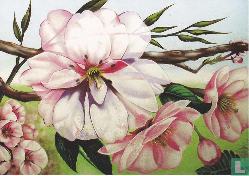 11534 - Michael Kiessling 11534 - Edgar - LastDodo