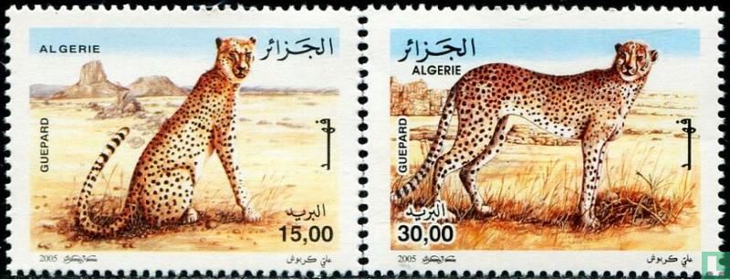 Cheetah (2005) - Algeria - LastDodo