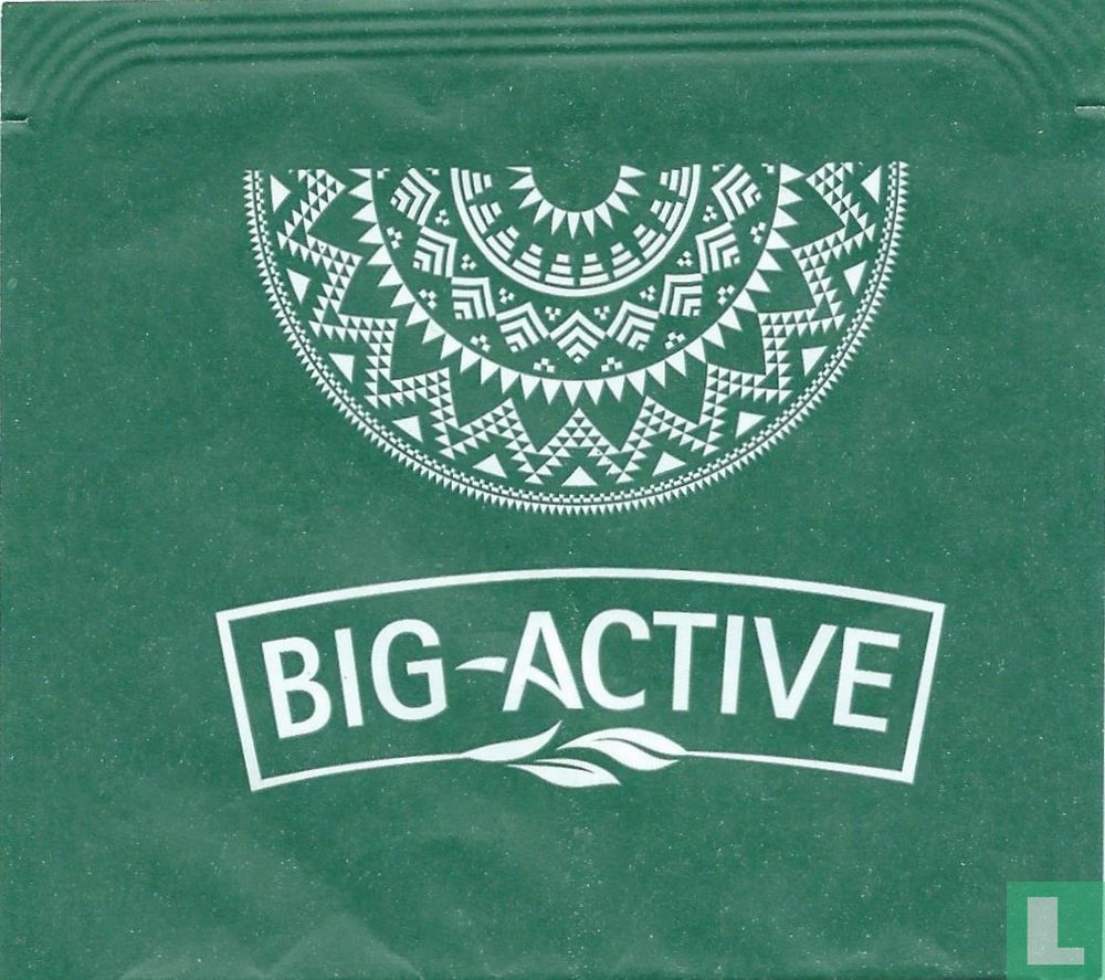 Smaki Swiata (2022) - Bio-Active - Big-Active - LastDodo