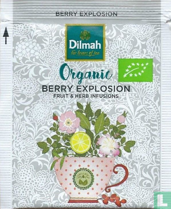 Berry Explosion 30952 00 01 (2022) - Dilmah - LastDodo