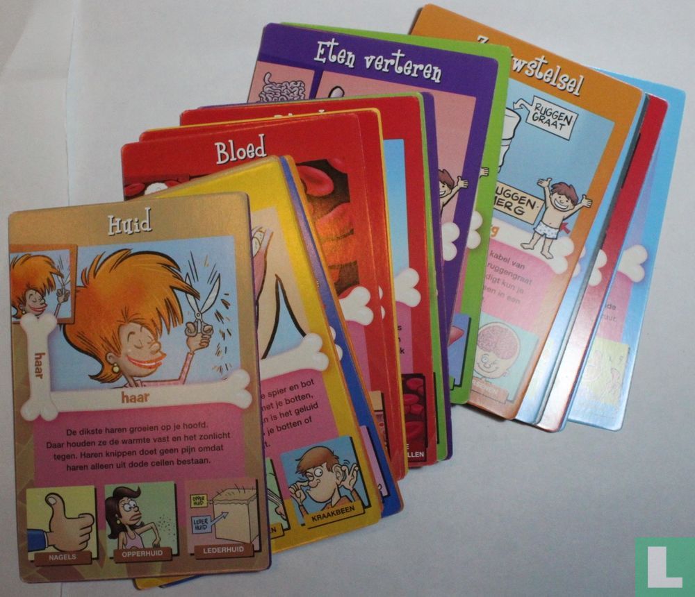 het Menselijk Lichaam Weetjes Kwartet (2017) - Quartet card game - LastDodo
