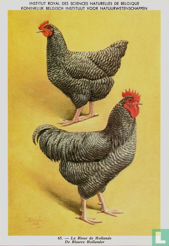 De Blauwe Hollander / La Bleue de Hollande 65 - Koninklijk Belgisch ...