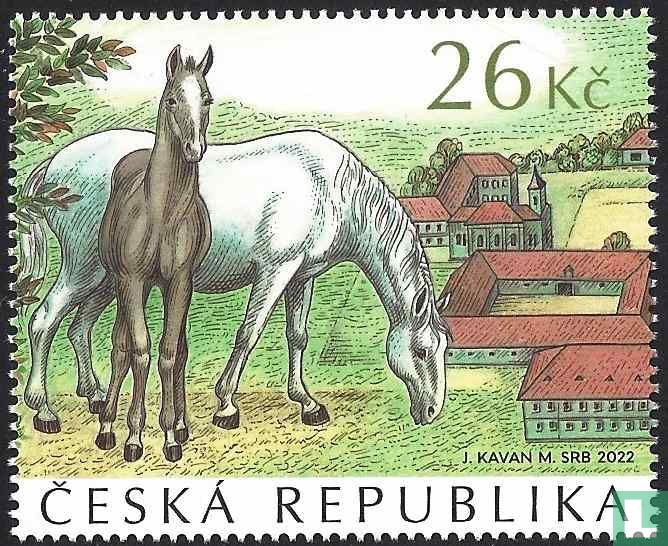 Horse breeding farm Kladruby nad Labem 26 (2022) - Czechia - LastDodo