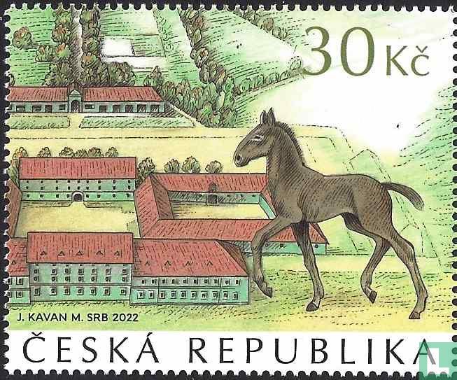Horse breeding farm Kladruby nad Labem 30 (2022) - Czechia - LastDodo