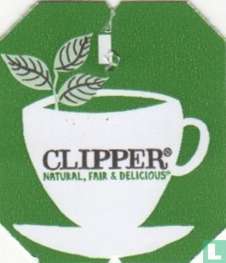 Mango & Citrus 3034458/100 (2023) - Clipper [r] - LastDodo