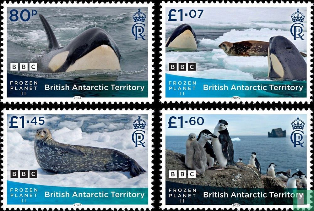 BBC Frozen Planet II (2023) - British Antarctic Territory - LastDodo