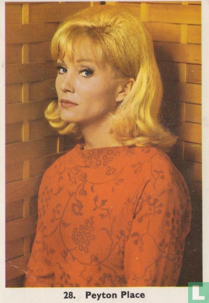 Peyton Place 28 (1967) - TV-series in België Serie 3 - LastDodo