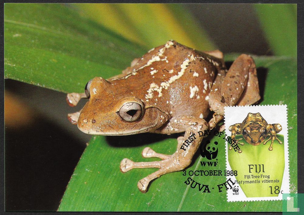 Frogs (1988) - Fiji - LastDodo