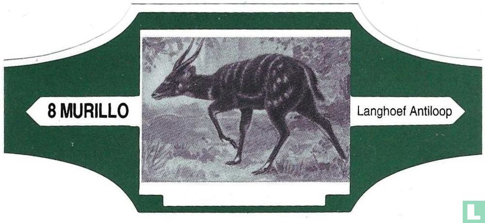 Langhoef Antiloop 8 (1997) - Murillo - LastDodo
