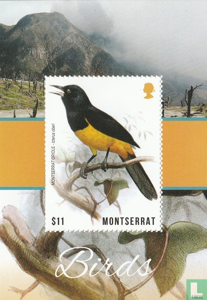 Birds 11 (2018) - Montserrat - LastDodo