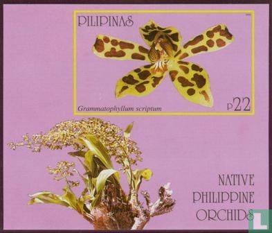 Native Philippine Orchids 22 (2002) - Philippines - LastDodo