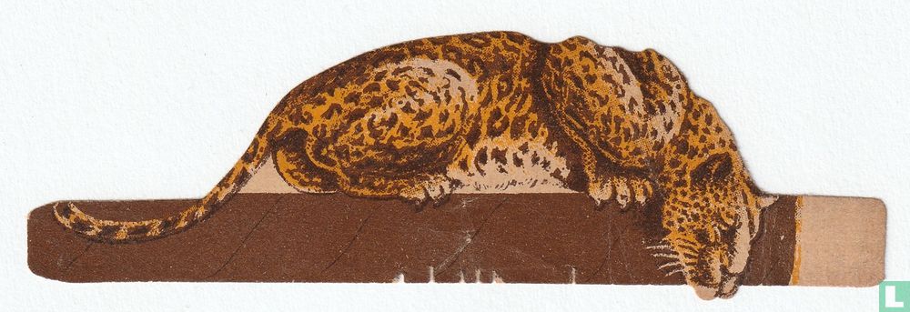 Panter Cigarillos - Connus dans le monde entier 19 - Panter - LastDodo
