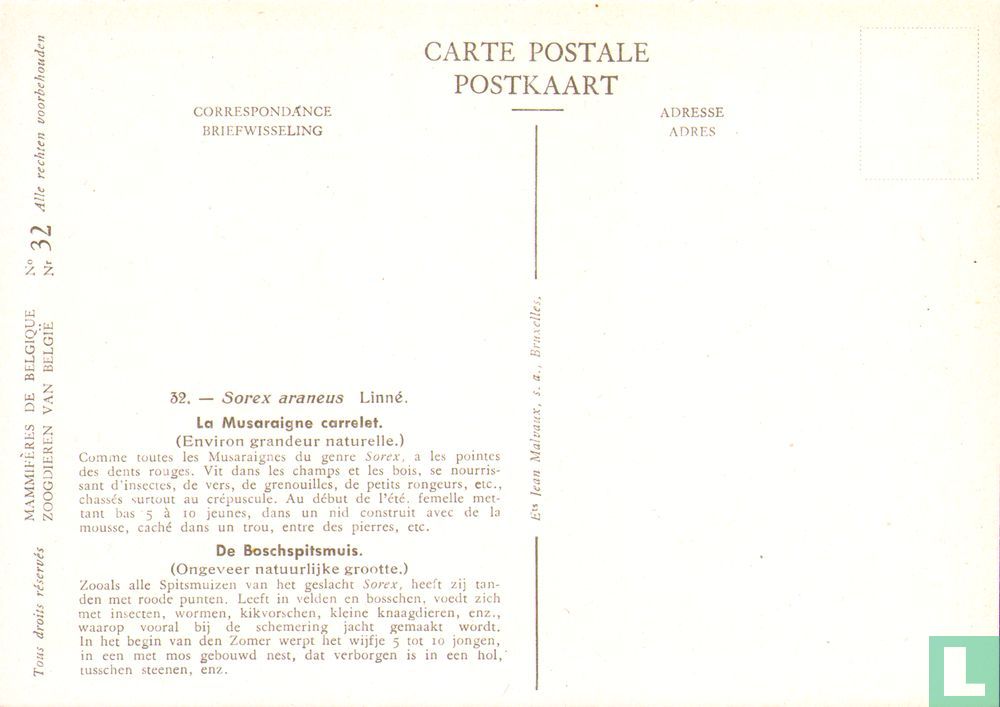De Bosspitsmuis / La Musaraigne carrelet 32 - Koninklijk ...