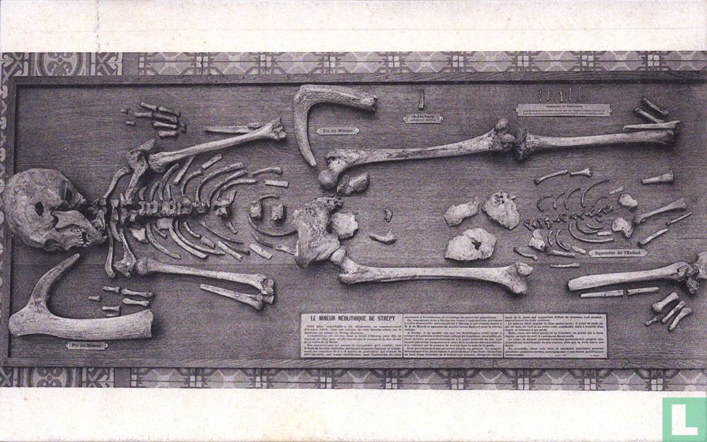 Geraamte van een neolitisch mijnwerker + kind en hond / Squelette d'un ...