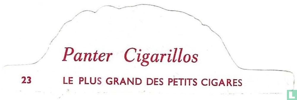 Panter Cigarillos - Le plus grand des petits cigares 23 - Panter - LastDodo