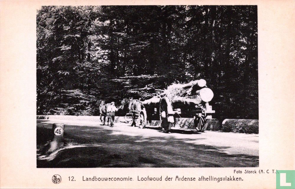 Landbouweconomie. Loofwoud der Ardense afhellingsvlakken 12 - Rorive ...
