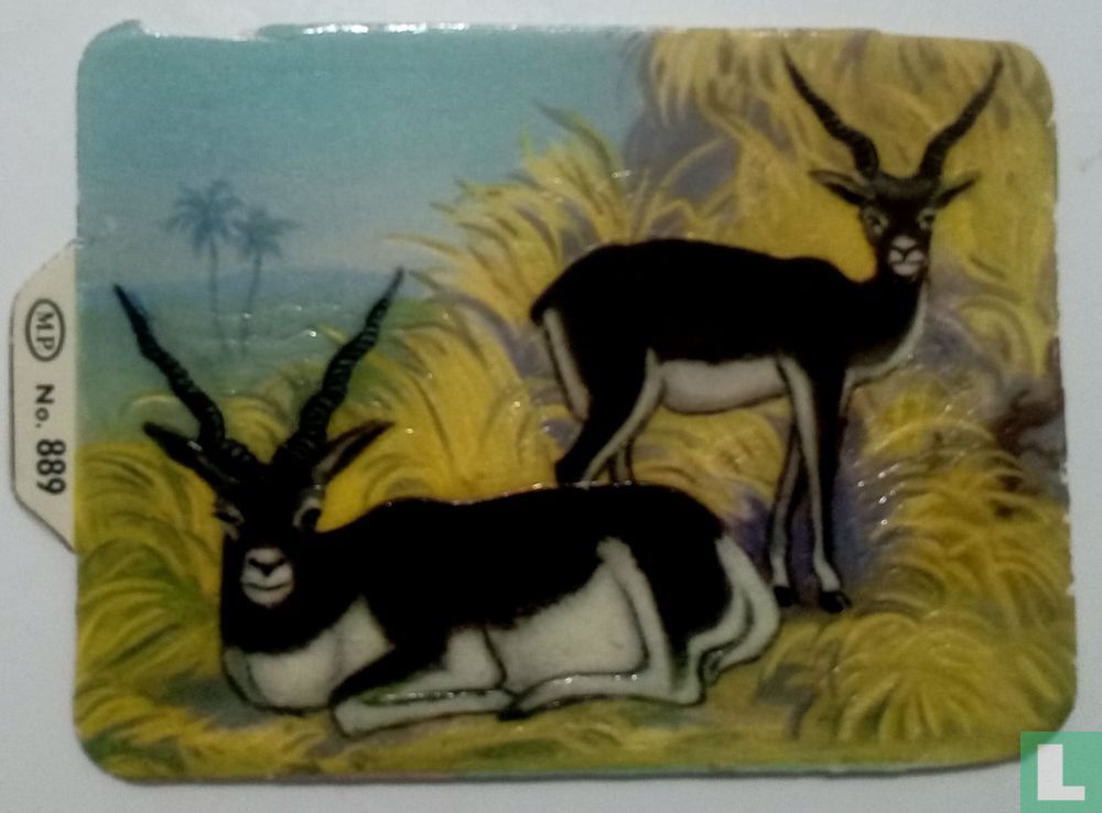 de Indische Antiloop 889 - M.P. (made in England) - LastDodo