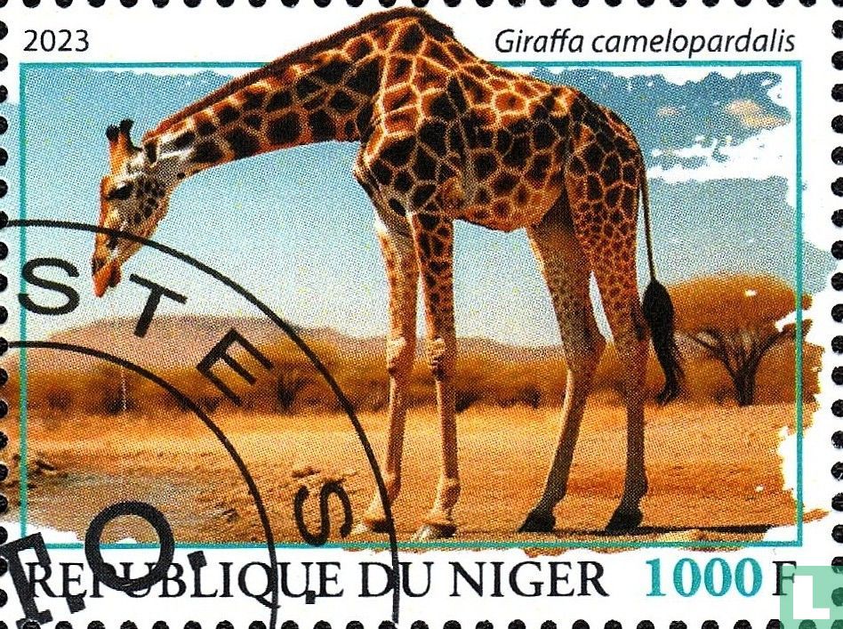 Giraffes 1000 (2023) - Niger - LastDodo