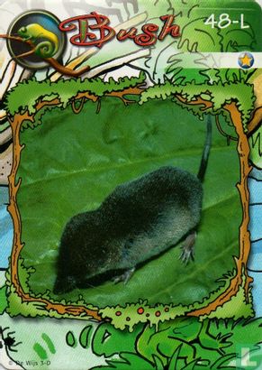 Muis 48-L (2005) - Jetix 3D Jungle Cards - LastDodo