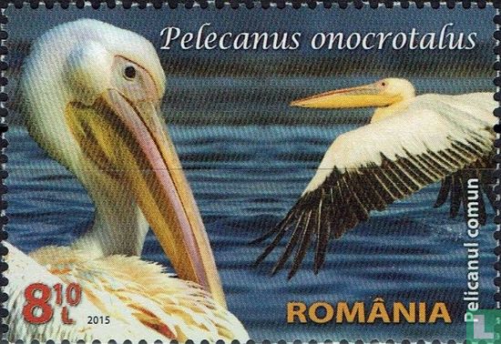 Birds 8.10 (2015) - Romania - LastDodo