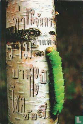 rups - Post Card Ad - LastDodo