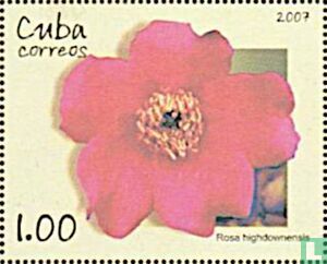 Roses 1 (2007) - Cuba - LastDodo