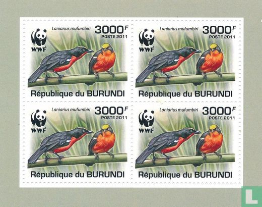 Birds (2011) - Burundi - LastDodo