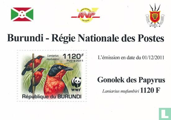 Birds 1120 (2011) - Burundi - LastDodo