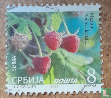 Raspberries 8 (2022) - Serbia - LastDodo