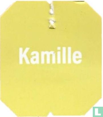 Kamille - Westminster - LastDodo