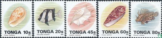 Shells (1995) - Tonga - LastDodo