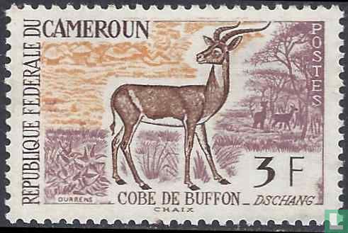 Cobe de Buffon 3 (1962) - Cameroun - LastDodo