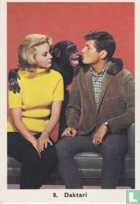 Daktari 8 (1967) - TV-series in België Serie 3 - LastDodo