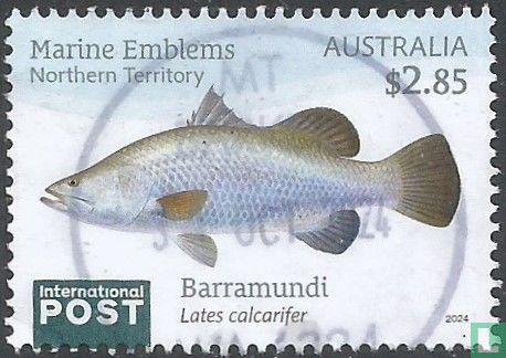 Barramundi 2.85 (2024) - Australia - LastDodo